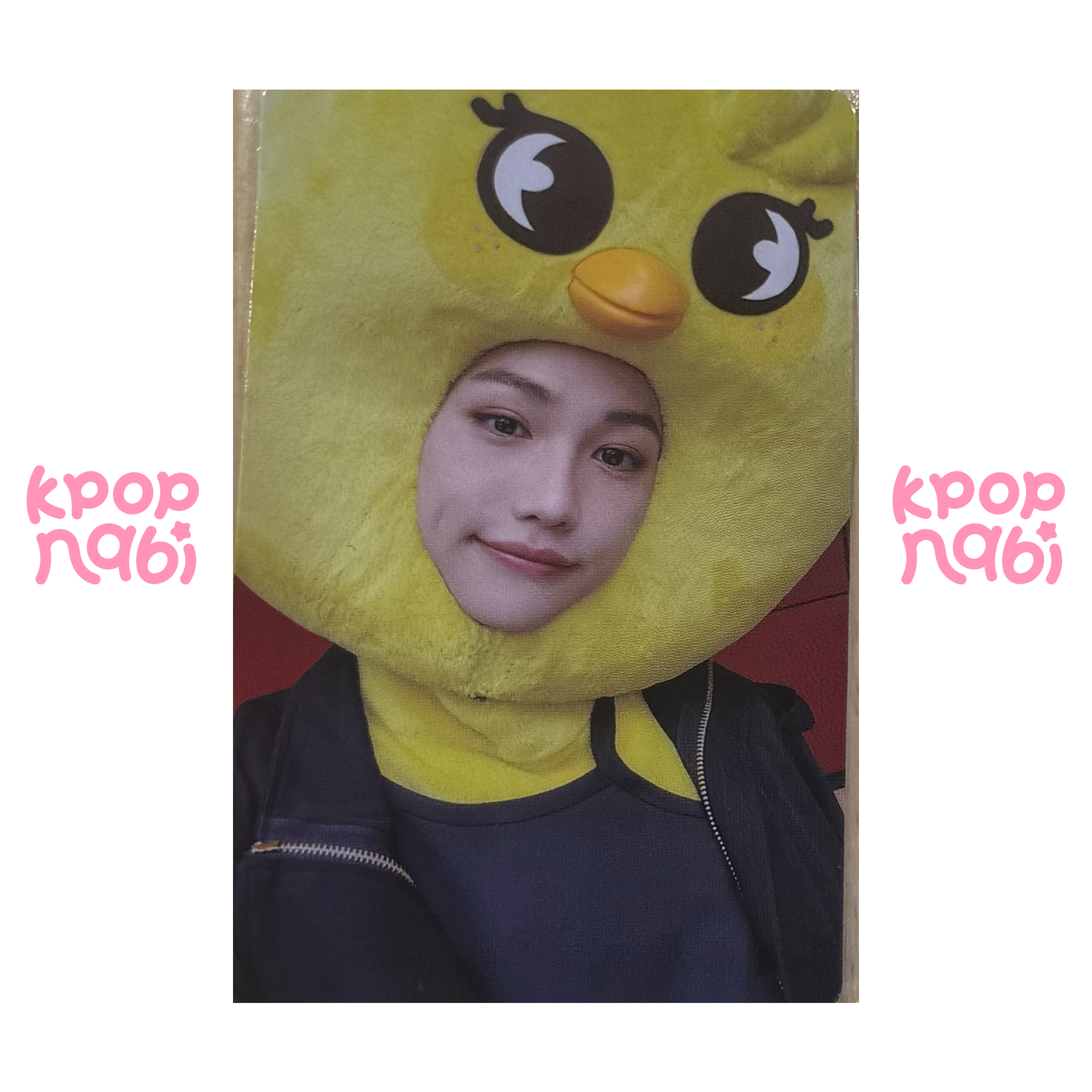 [PC] Stray Kids - 'MAXIDENT' JYP SHOP POB – Kpop Nabi