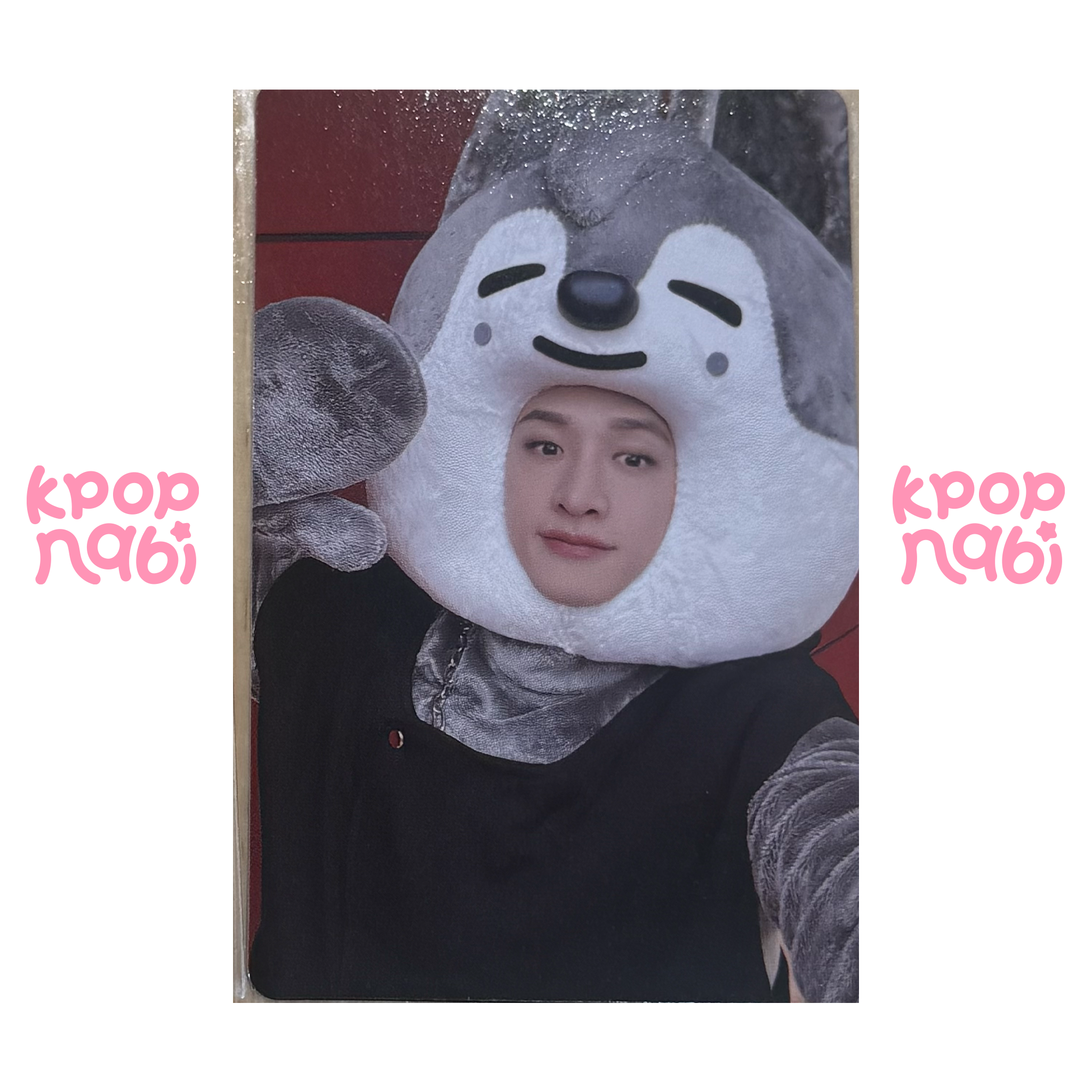 [PC] Stray Kids - 'MAXIDENT' JYP SHOP POB – Kpop Nabi